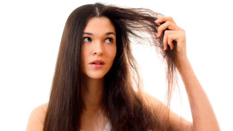 ¿Cómo hidratar el pelo seco y sin brillo? | ARGANOUR